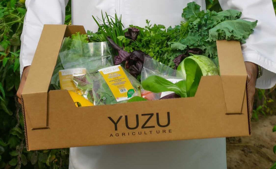 Farm Boxes – YUZU - Oman's Organic Farm