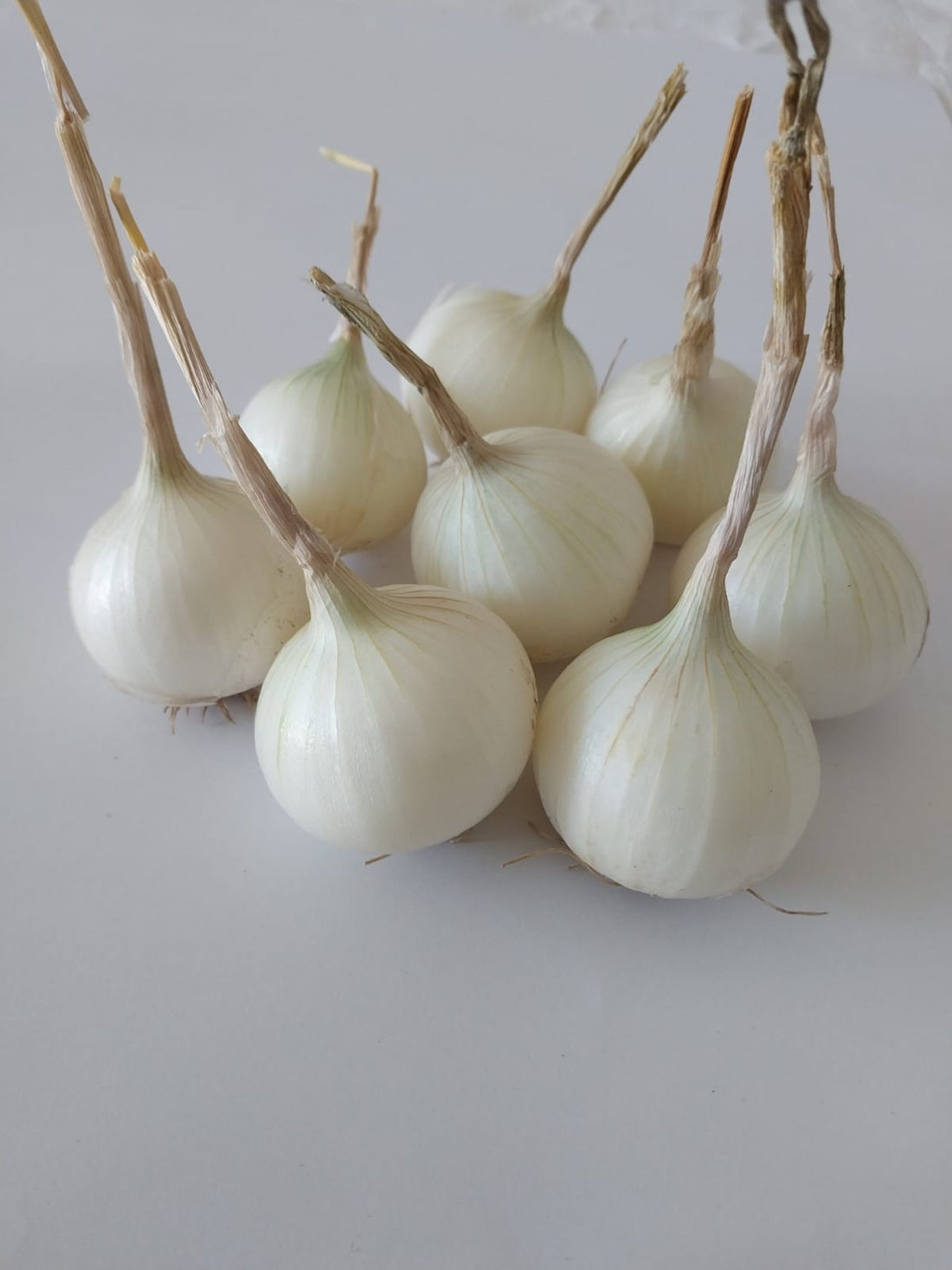 Organic Onions (Bunch - approx 500g)